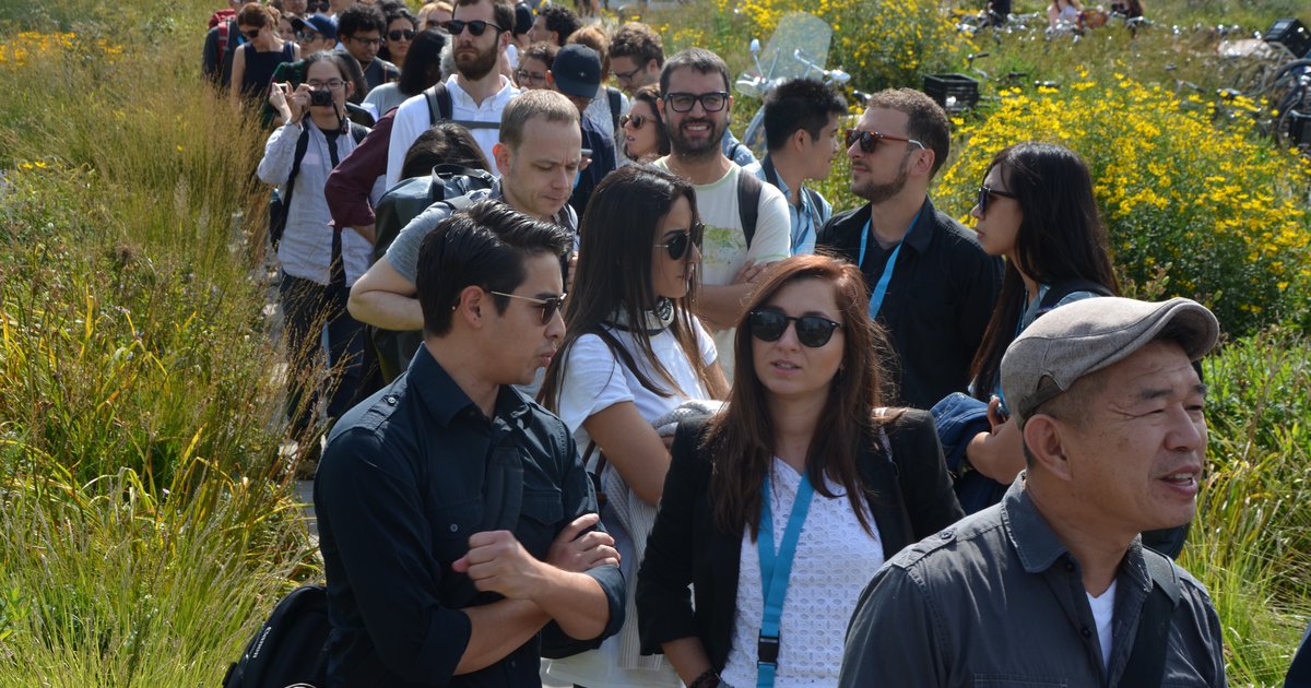 AMS Institute - Courses