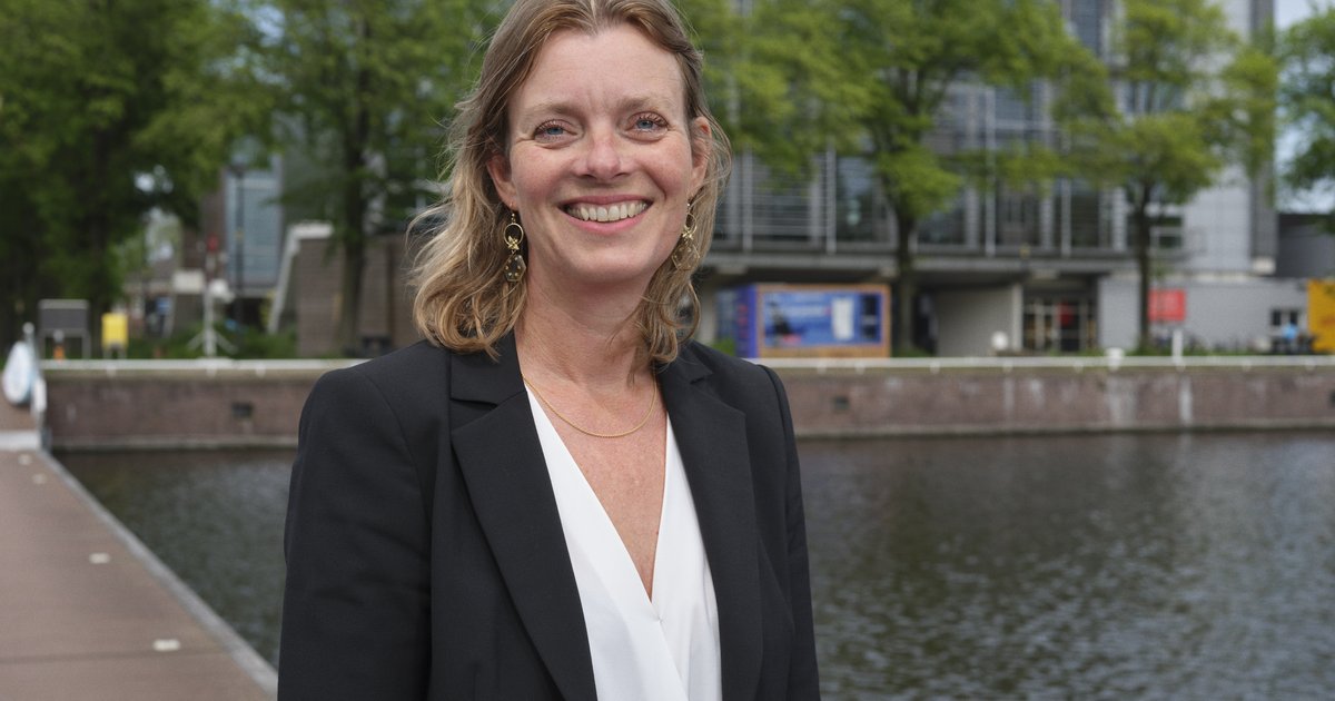 AMS Institute - Zwanet van Lubek