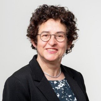 AMS Institute - Anja Sinke