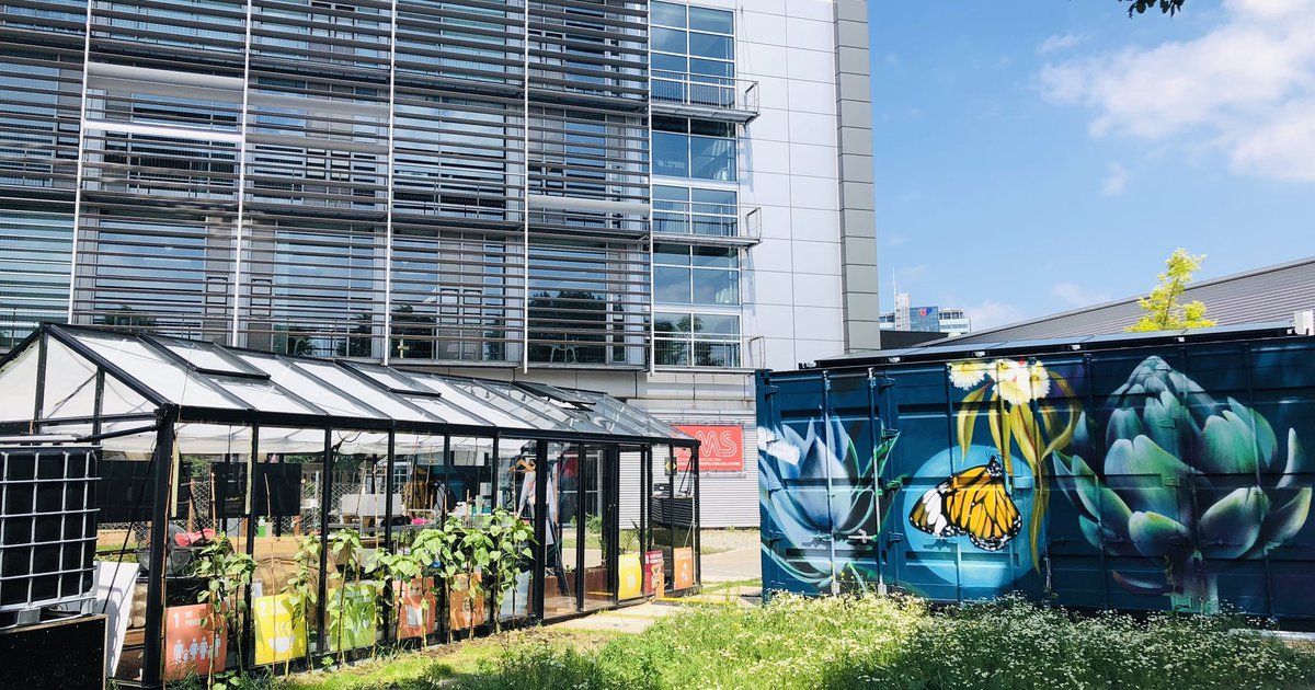 AMS Institute - What we do