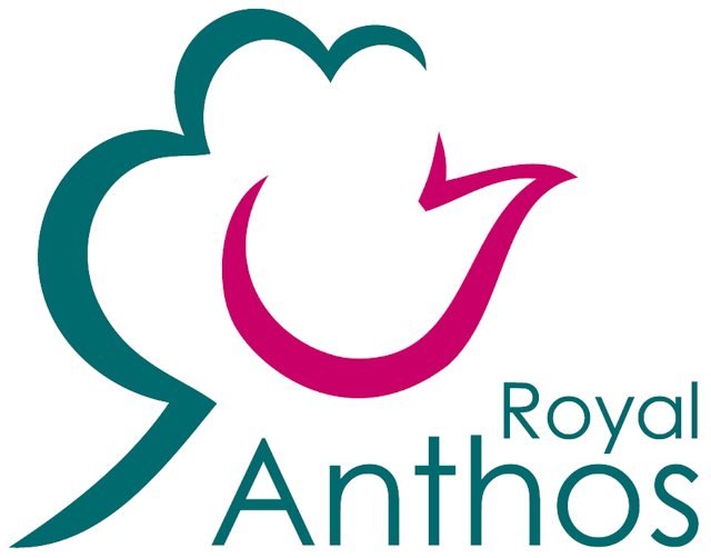 AMS Institute - Royal Anthos