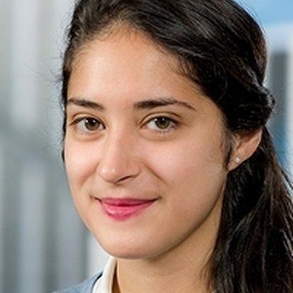 AMS Institute - Research Fellows