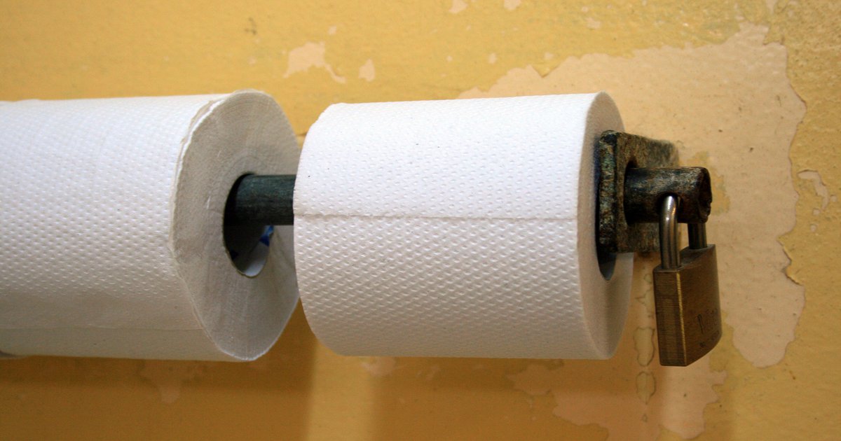 AMS Institute - Can we build bridges from paper we flush down the toilet?
